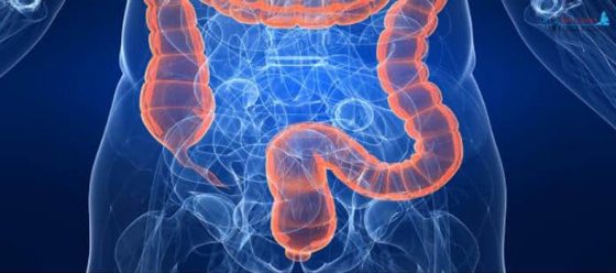 Proctologia - Studio Medico Correzzana